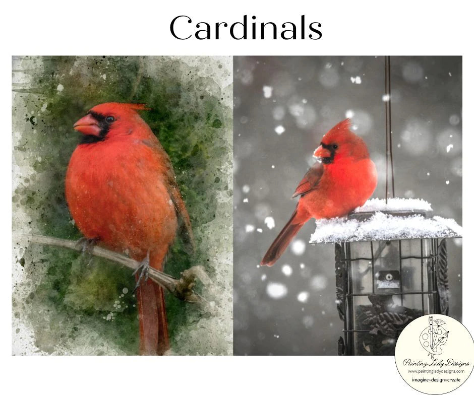 Cardinals - Painting Lady Designs – Flippin Furniture Shop