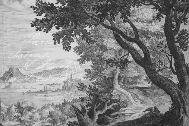 Etched Countryside - Roycycled Decoupage Paper – Flippin Furniture Shop